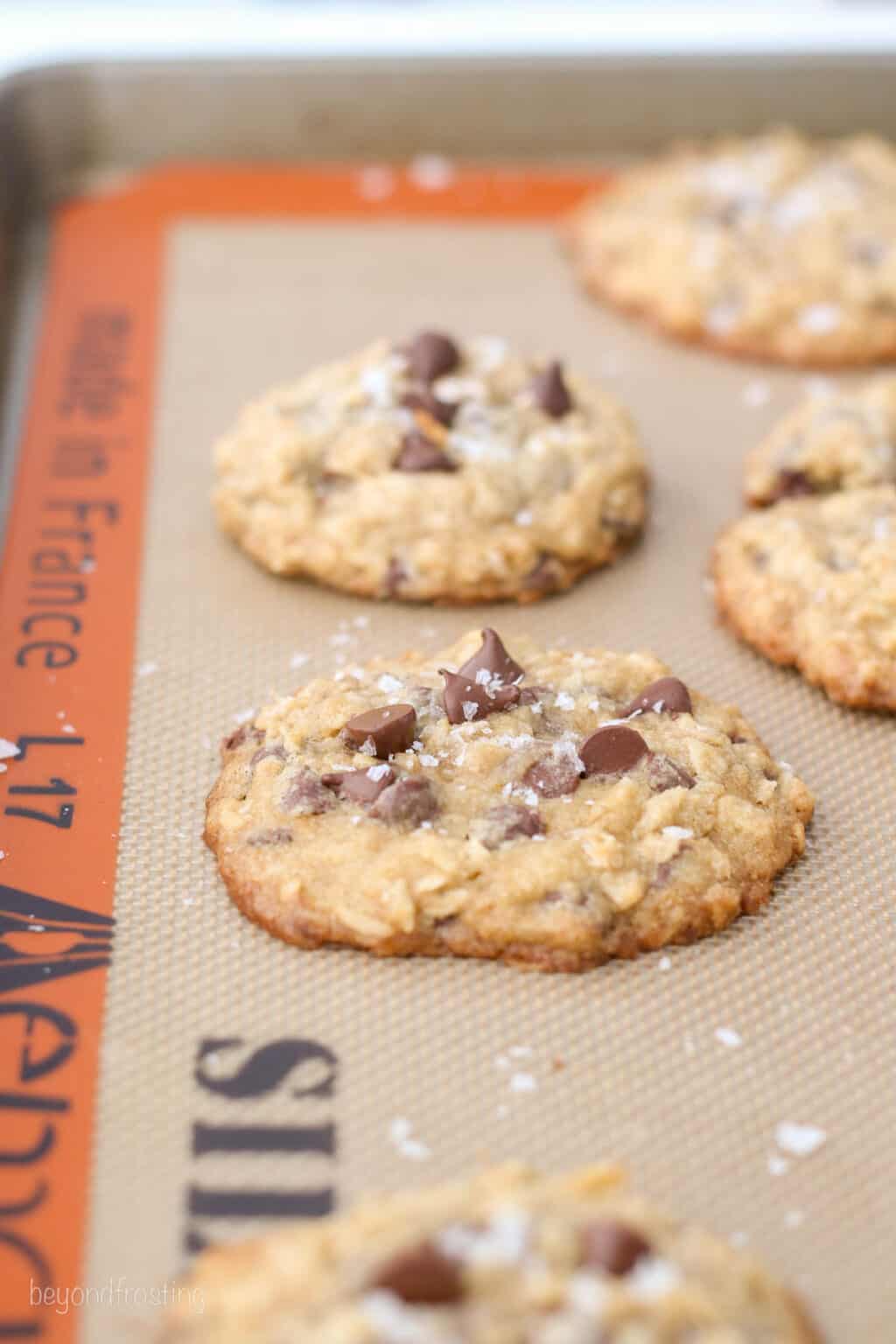 Chewy Chocolate Chip Oatmeal Cookies | Beyond Frosting