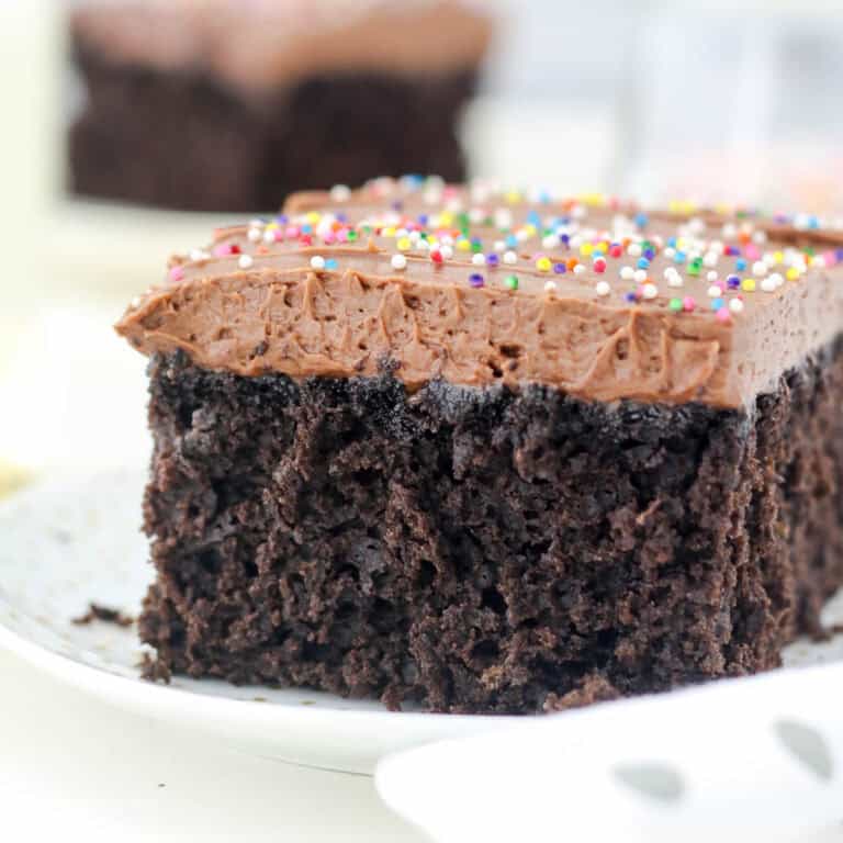 Moist Chocolate Cake | Beyond Frosting