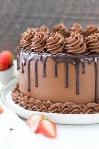 Chocolate Mocha Cake - Beyond Frosting