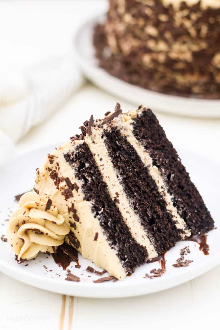 Chocolate Mocha Cake | Beyond Frosting