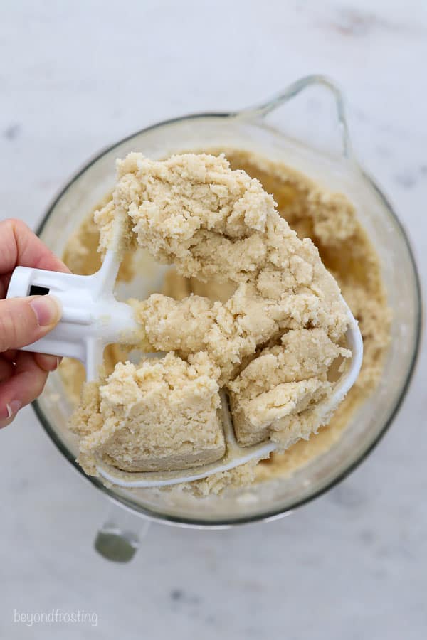 Easy Snickerdoodle Cookies- Soft & Chewy | Beyond Frosting