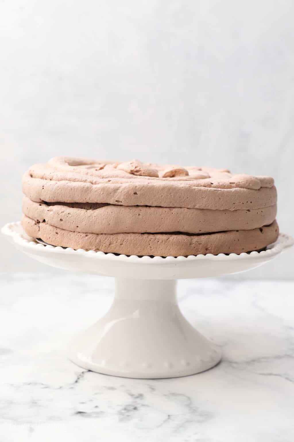 Easy Chocolate Ice Cream Cake Recipe | Beyond Frosting