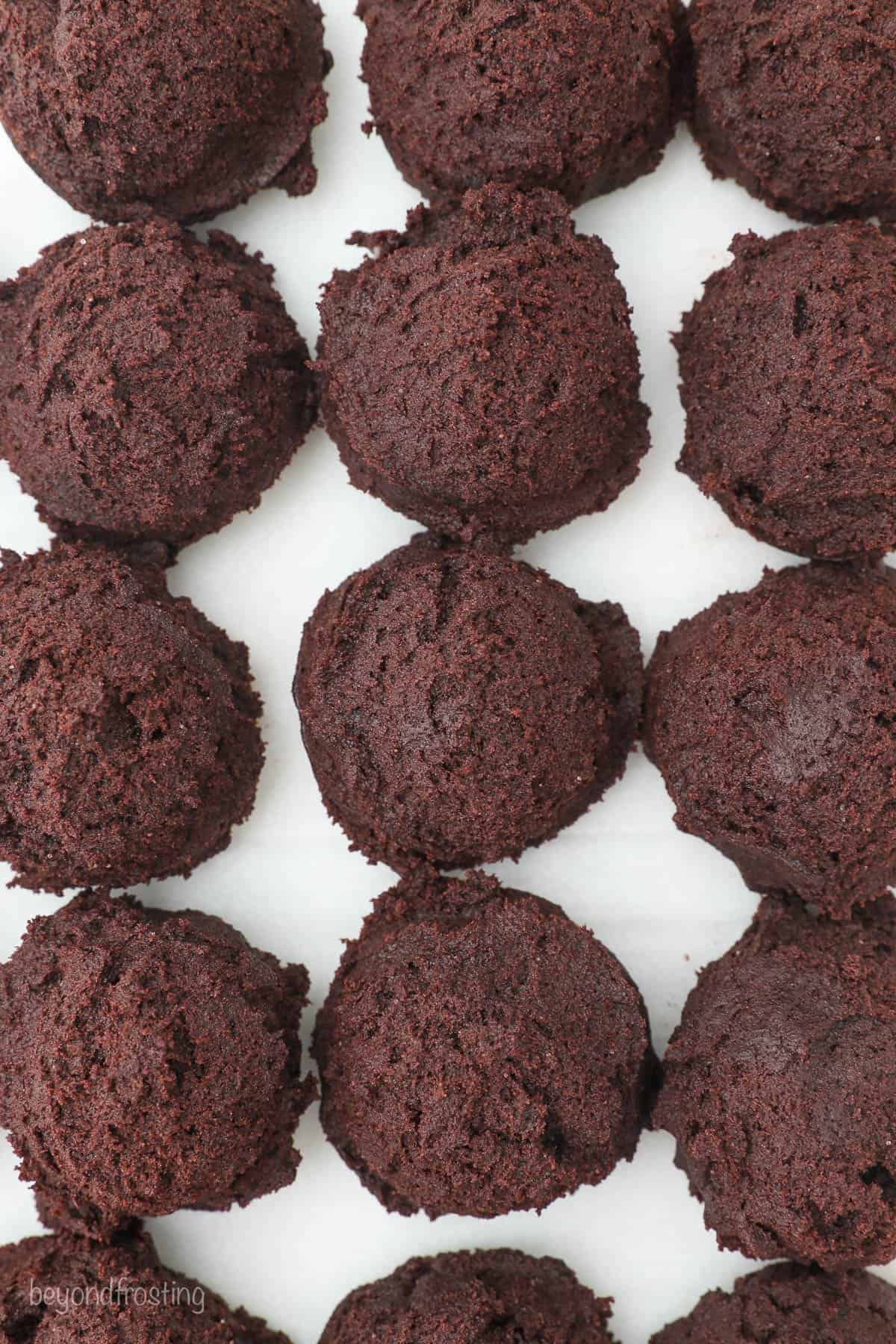 Soft Chocolate Sugar Cookies | Beyond Frosting