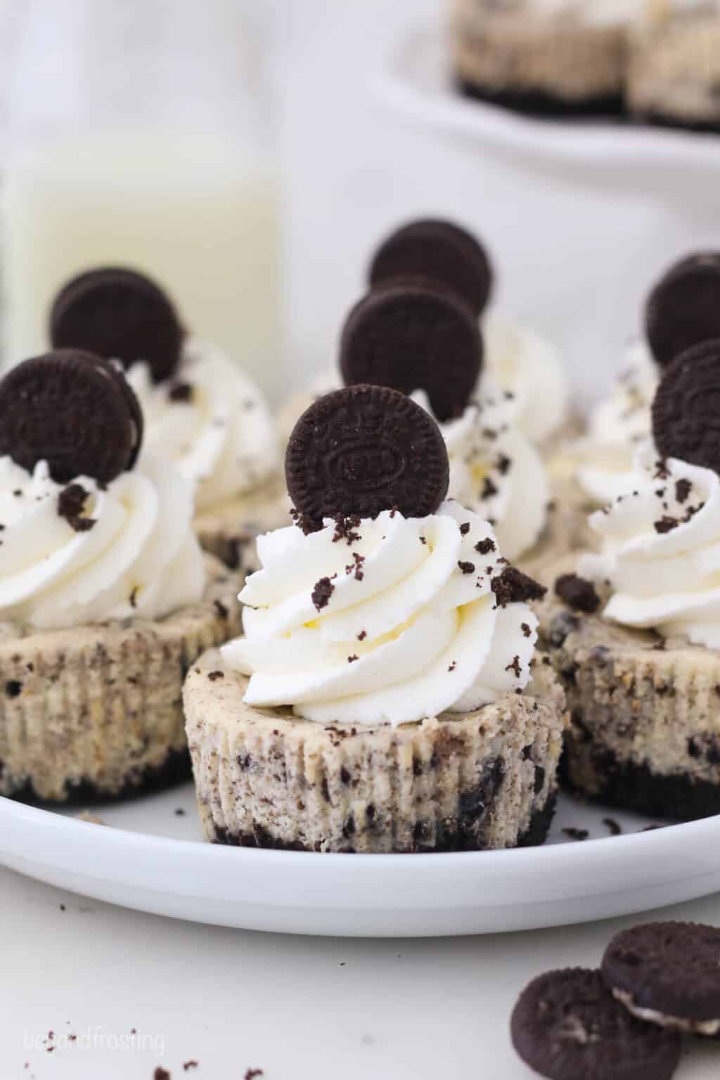 Mini Oreo Cheesecakes | Beyond Frosting