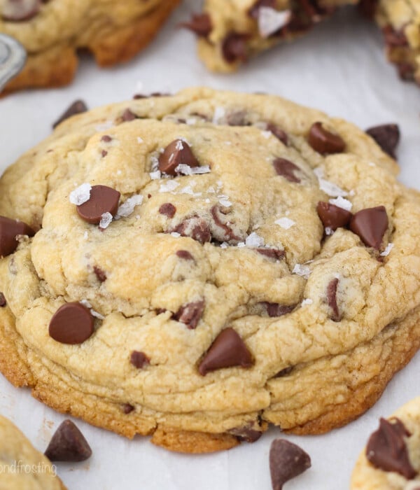 The Best Homemade Cookie Recipes | Beyond Frosting