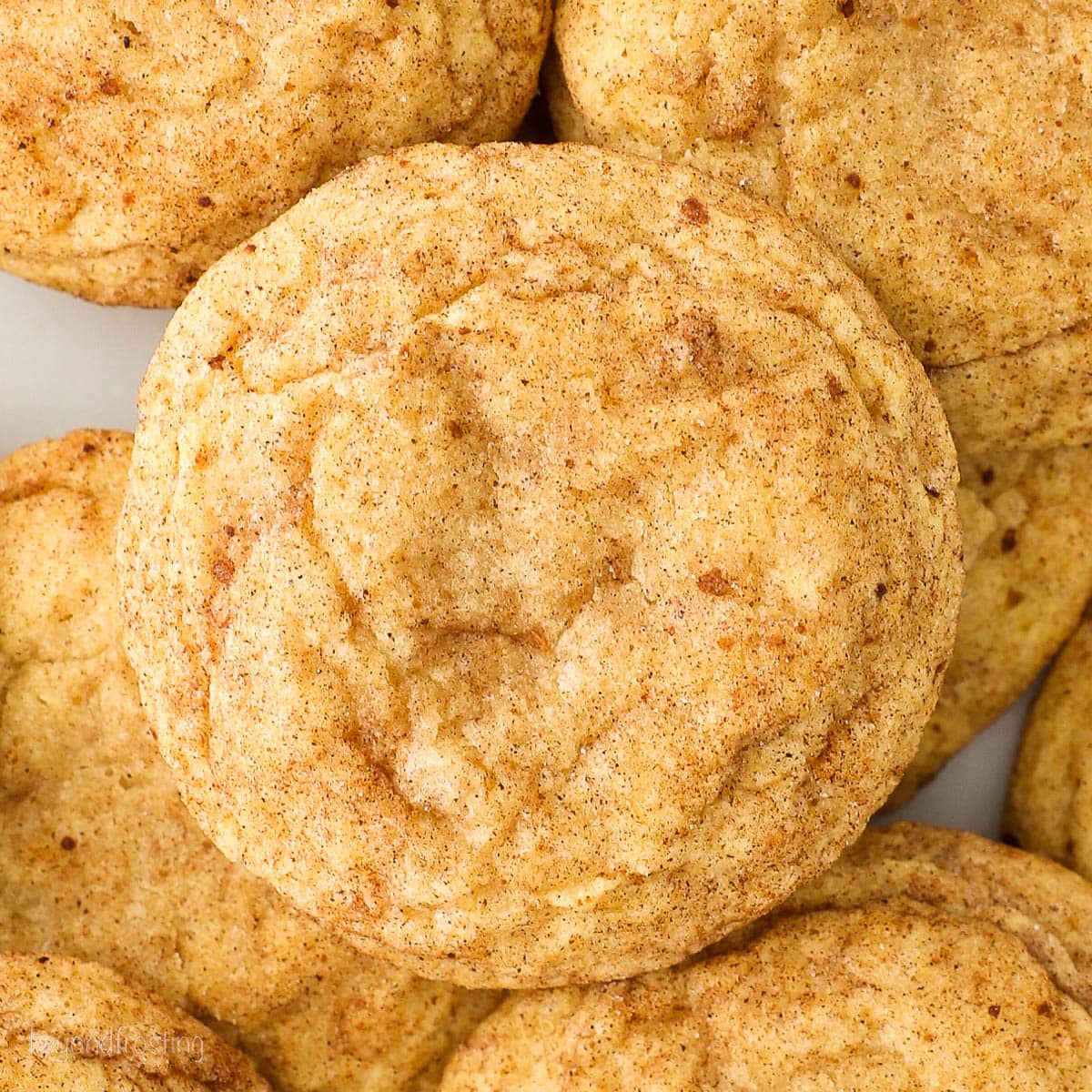 Pumpkin Snickerdoodles | Beyond Frosting