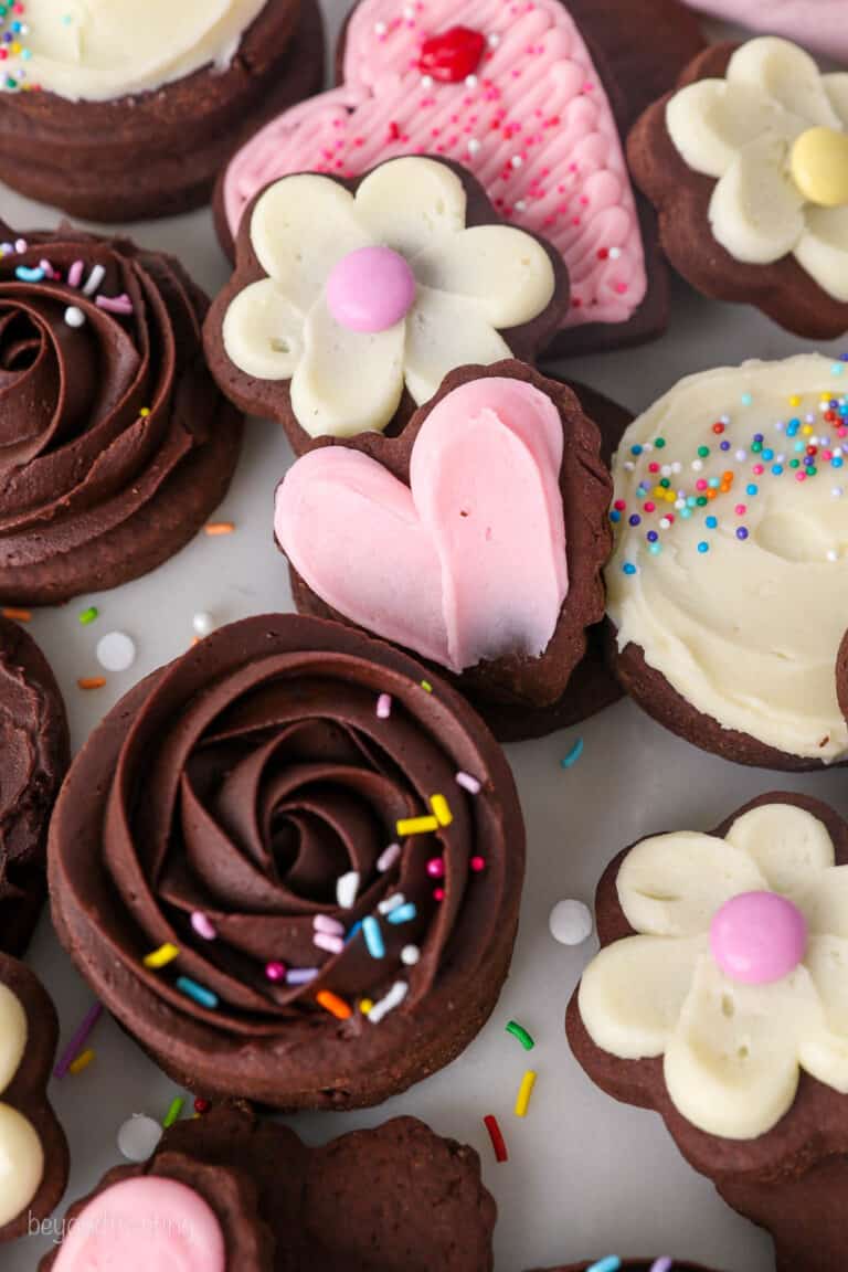 Chocolate Cutout Sugar Cookies | Beyond Frosting