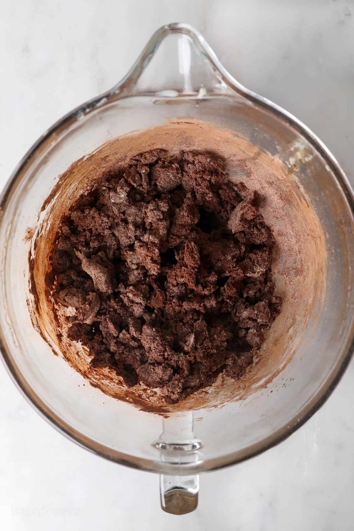 Chocolate Cutout Sugar Cookies | Beyond Frosting