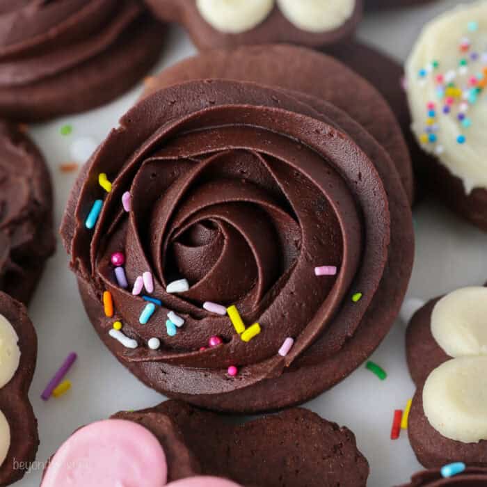 Chocolate Cutout Sugar Cookies | Beyond Frosting