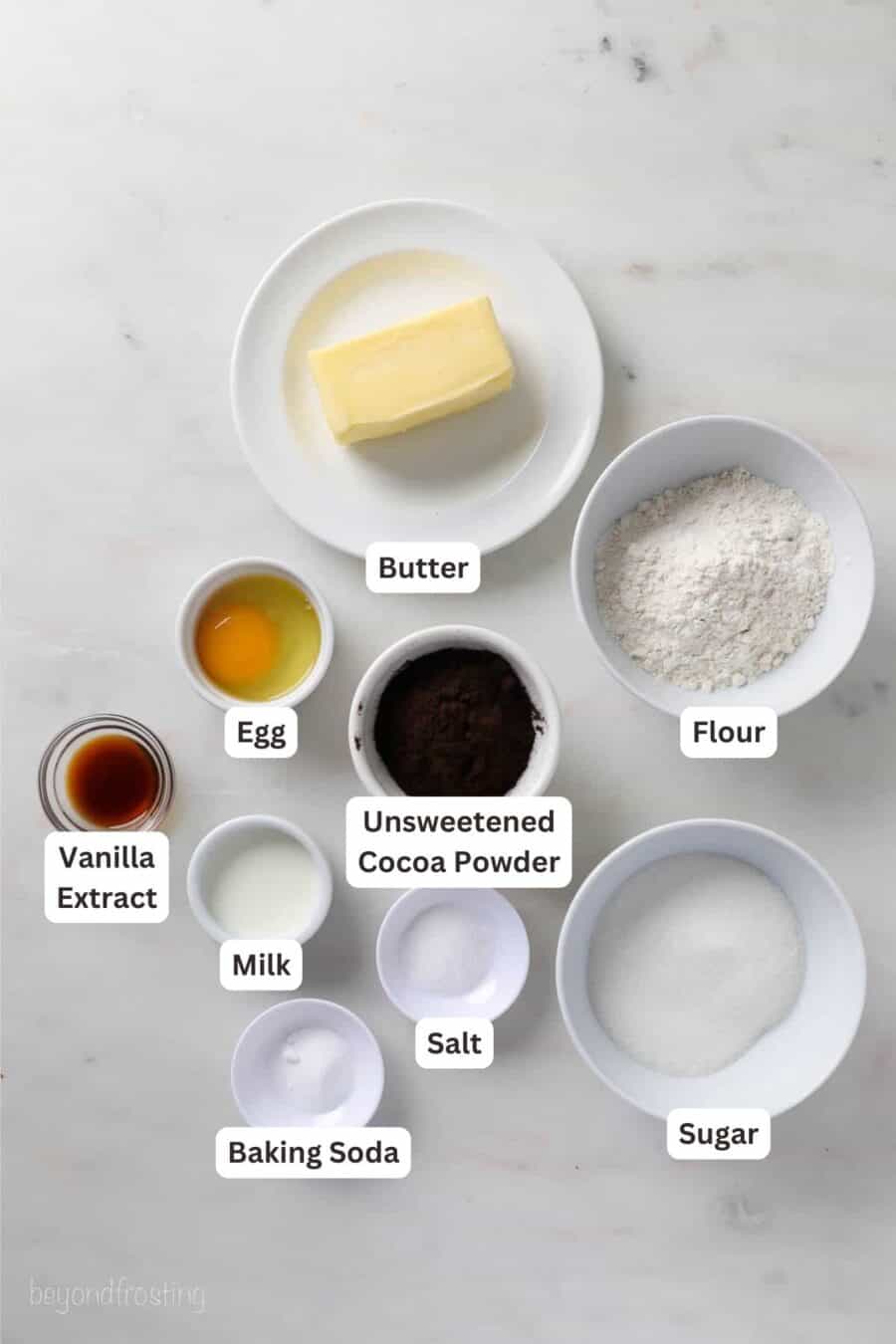 Chocolate Cutout Sugar Cookies | Beyond Frosting