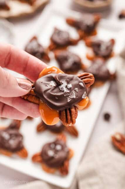 Turtle Candies | Beyond Frosting