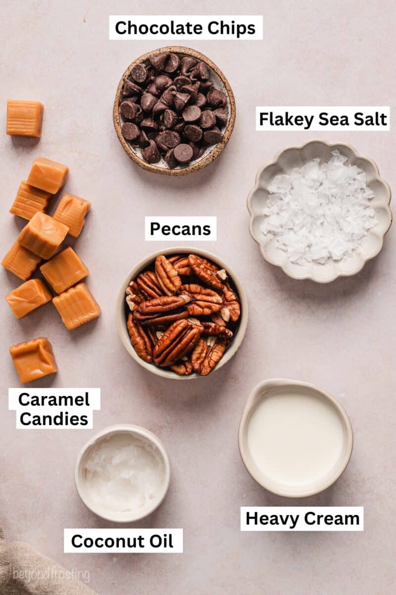 Turtle Candies | Beyond Frosting